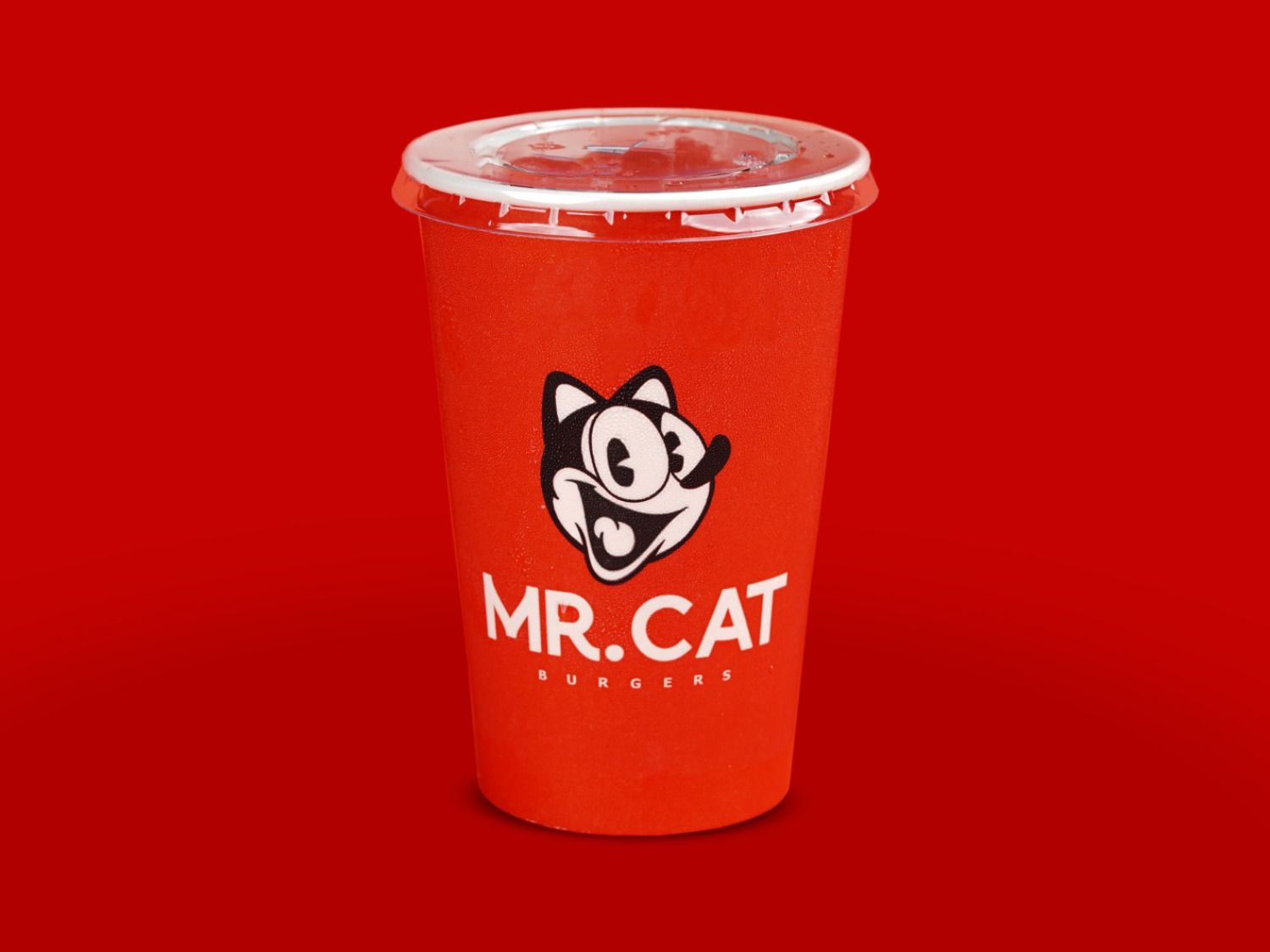 Mr. Cat delivery service in Kuwait | Talabat