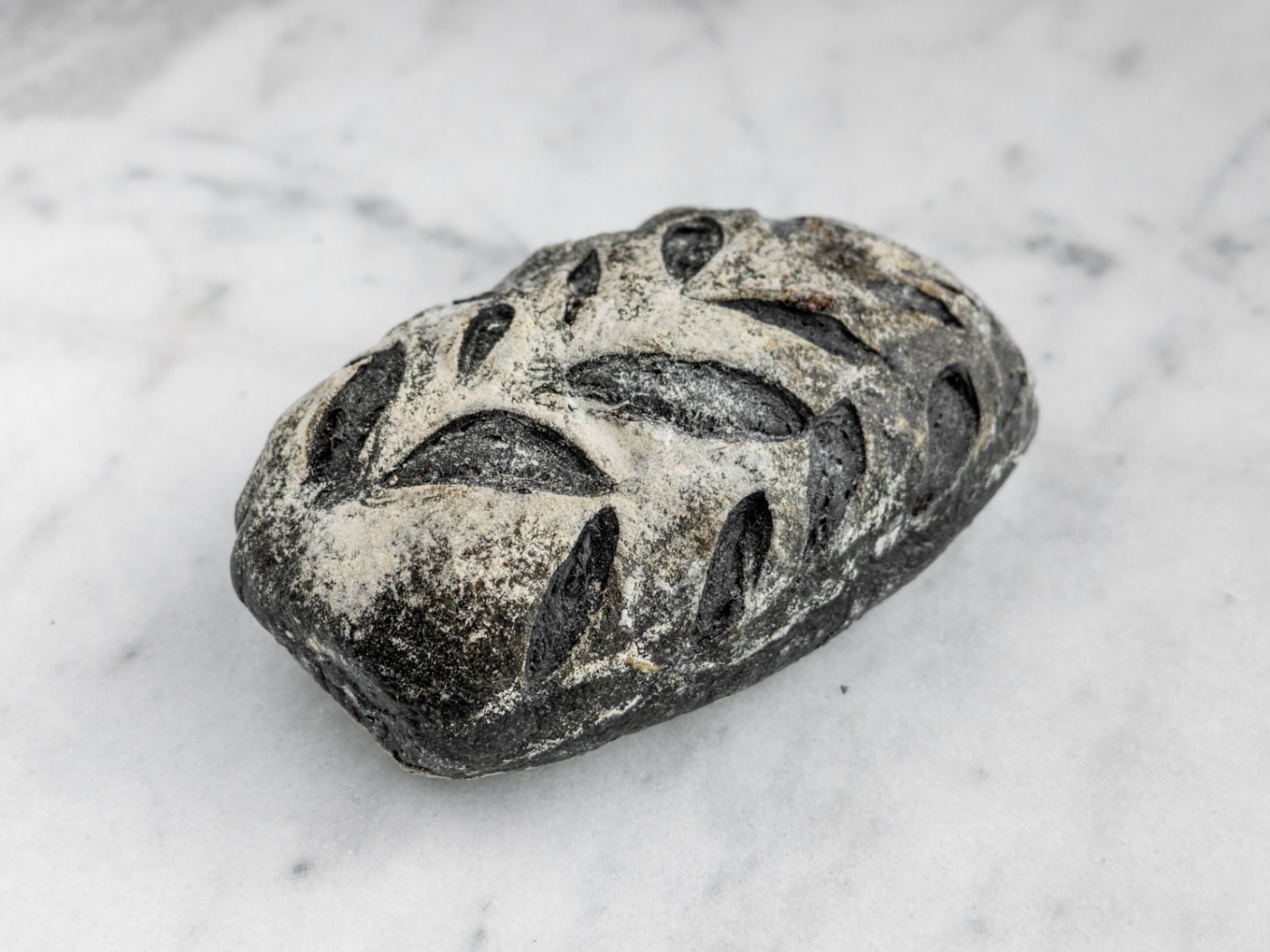 Bakehaus delivery service in Kuwait | Talabat