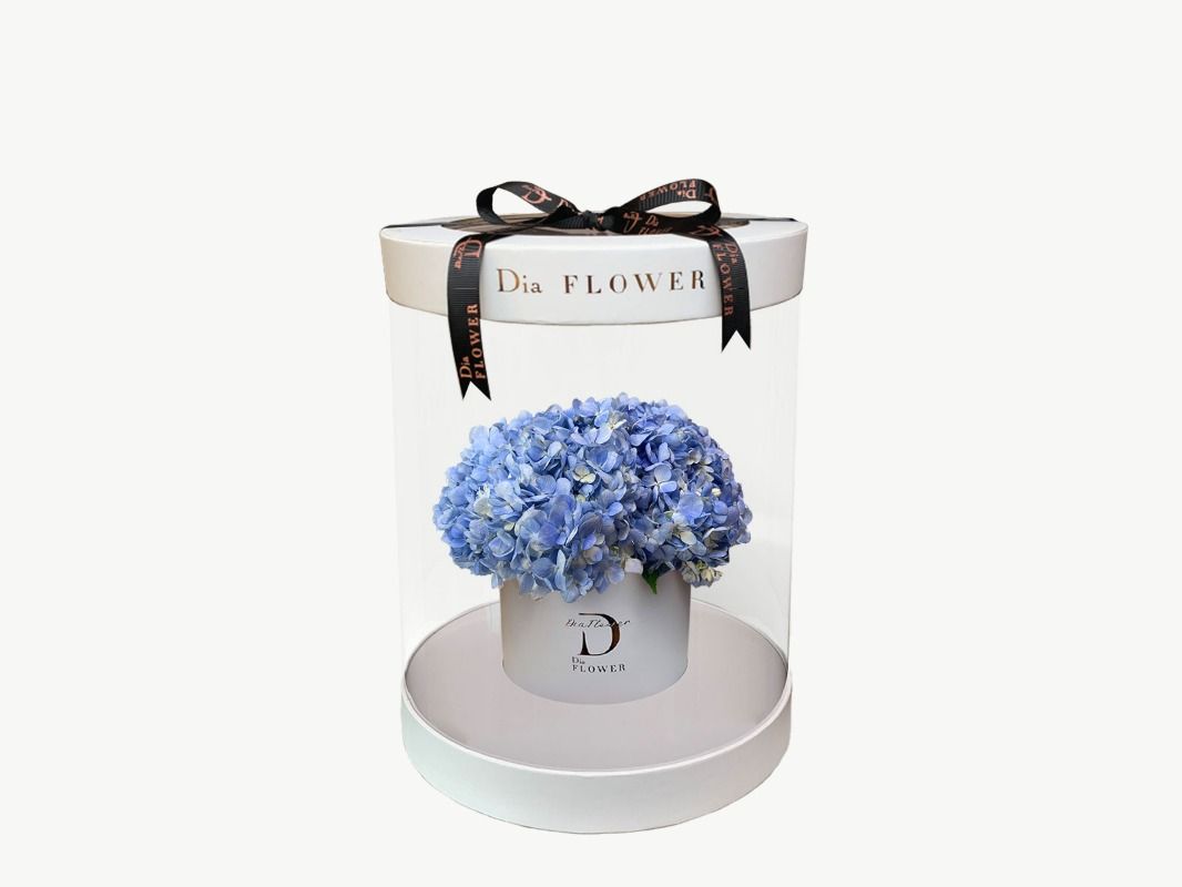 Dia Flowers delivery service in UAE | Talabat