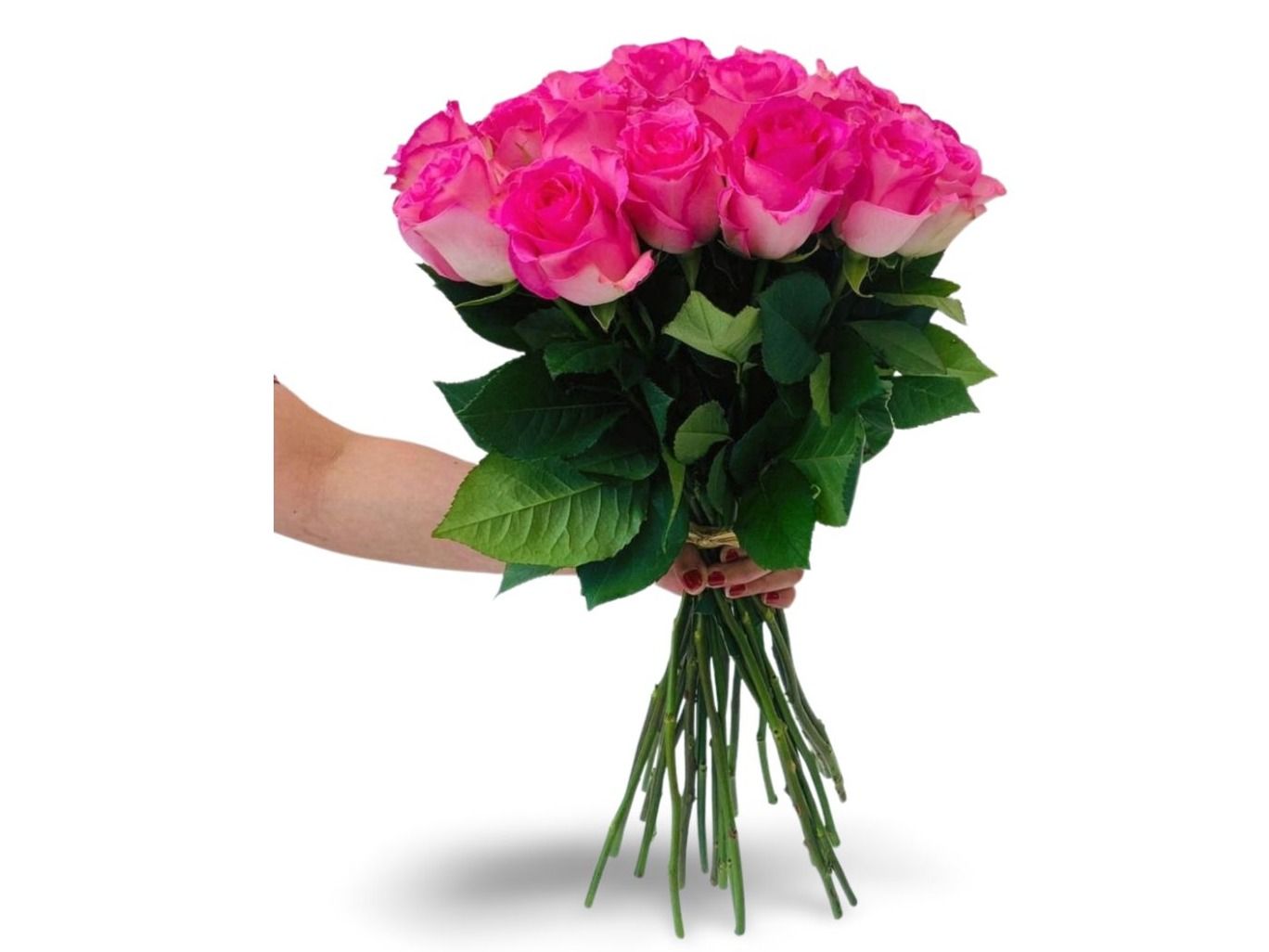 Orbee Plants & Flowers delivery service in Qatar | Talabat