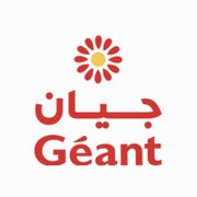 Geant Hypermarket Logo