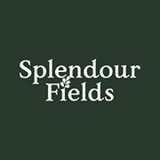 Splendour Fields menu for delivery in Al Manara | Talabat