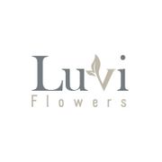 Luvi flowers catalog | Flowers delivery in Al Jaddaf | Talabat