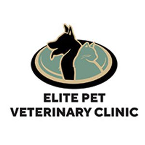 Elite Pet Veterinary Clinic delivery service in Qatar | Talabat