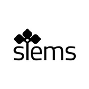Stems delivery service in Bahrain | Talabat