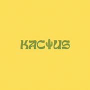 Kactus delivery service in UAE | Talabat