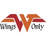 Wings Only delivery service in UAE | Talabat