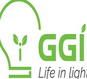 Go Green International delivery service in Qatar | Talabat