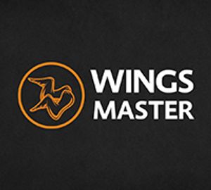 Wings Master delivery service in Jordan | Talabat