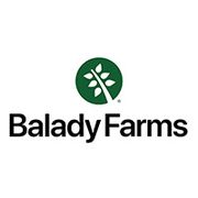 Restaurants and groceries near me in Tagammoa 5 - Emaar Mivida Egypt ...