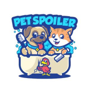 PET SPOILER delivery service in UAE | Talabat