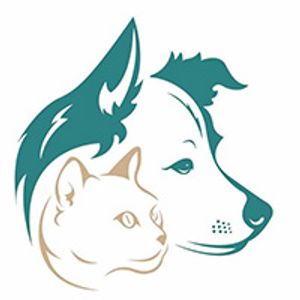 Top Pet delivery service in Egypt | Talabat