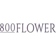 800 Flower catalog | Flowers delivery in Al Muraqqabat | Talabat