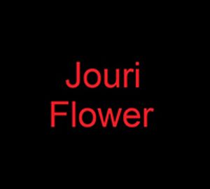 Jouri Flower delivery service in Kuwait | Talabat