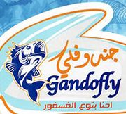 Gandofly delivery service in UAE | Talabat