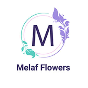 Melaf Flowers delivery service in Qatar | Talabat